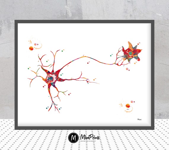 Multipolar Neuron Print Neuron With Axon and Dendrites | Etsy