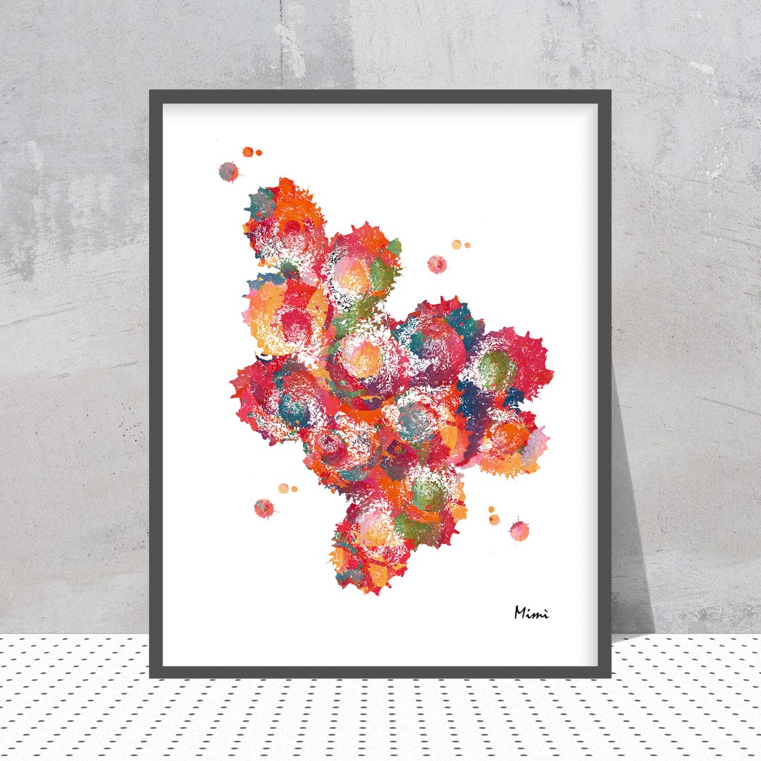Bone Tissue Anatomy Print Osteoblasts Watercolor Bone Cells Poster Bone ...