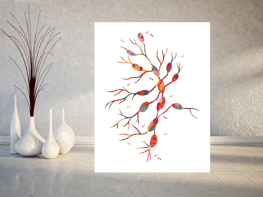 Lymph Nodes Anatomy Watercolor Print Lymphatic System Print - Etsy