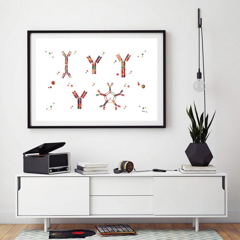 Antibody Structure Print | Immunoglobulin (ig) Antigens Watercolor ...