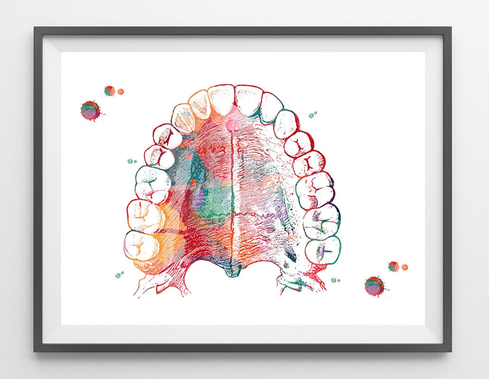 Mouth Anatomy Hard Palate and Teeth Art Print Medical Art | Etsy