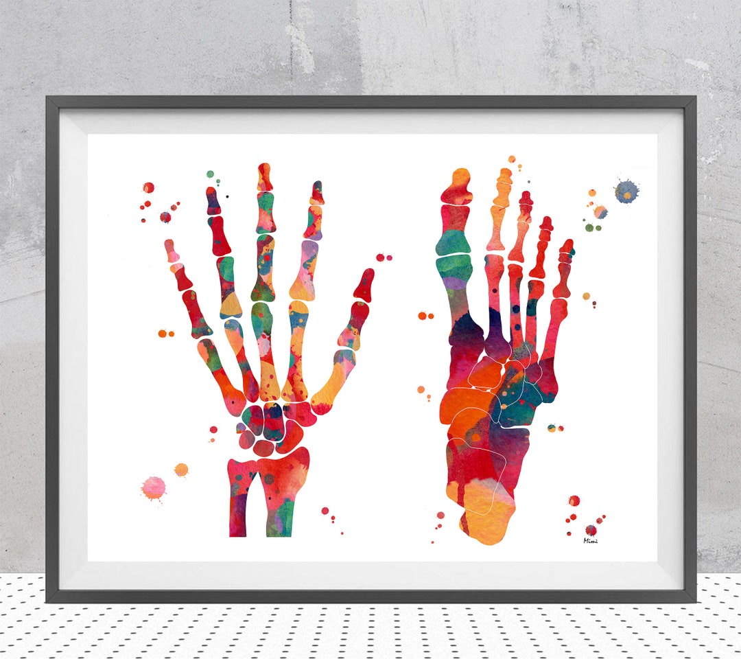 Watercolor Foot & Hand Bones Print: Anatomy Art Poster - Etsy