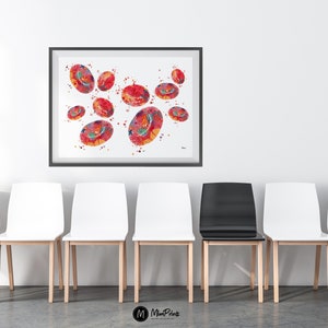 Red Blood Cells Watercolor Print Hematology Science Print Blood Cells ...