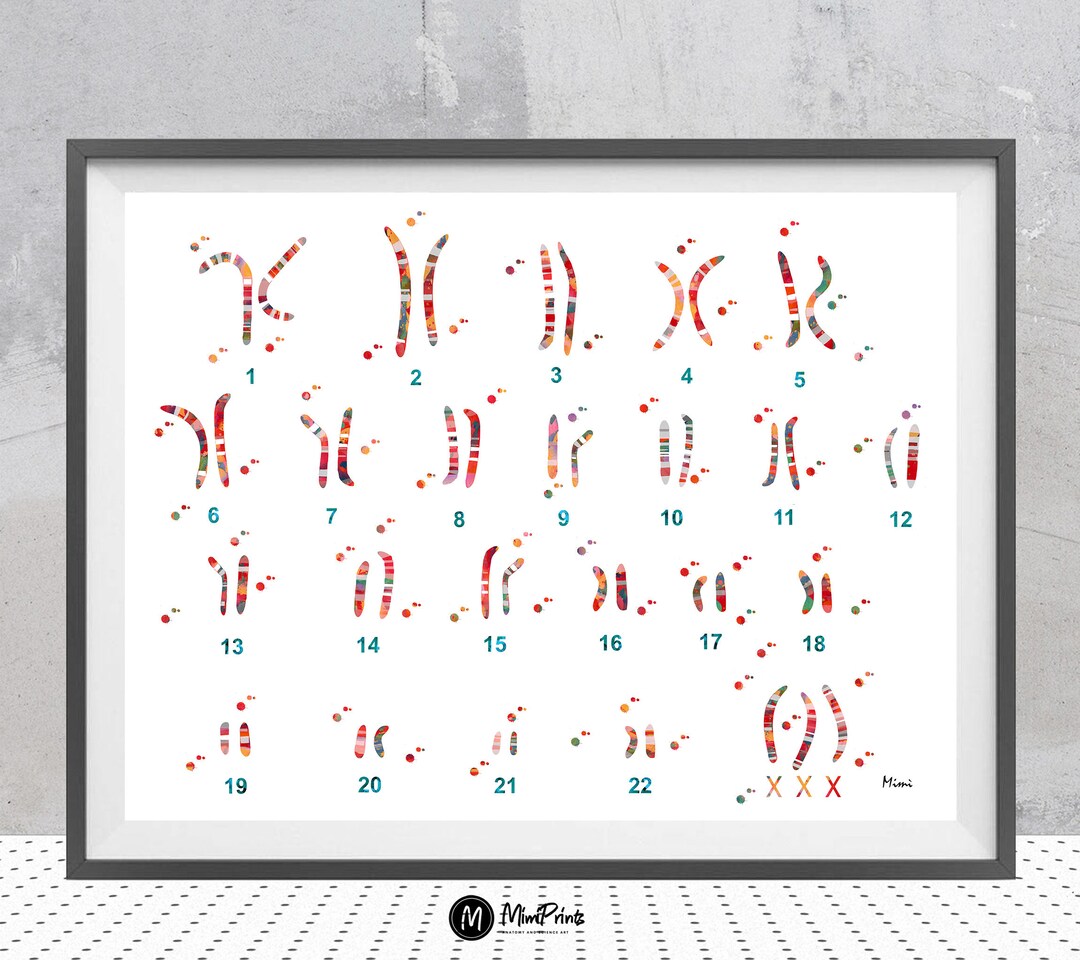 Trisomy X Genetics Print Triple X Chromosome Idiogram Watercolor ...