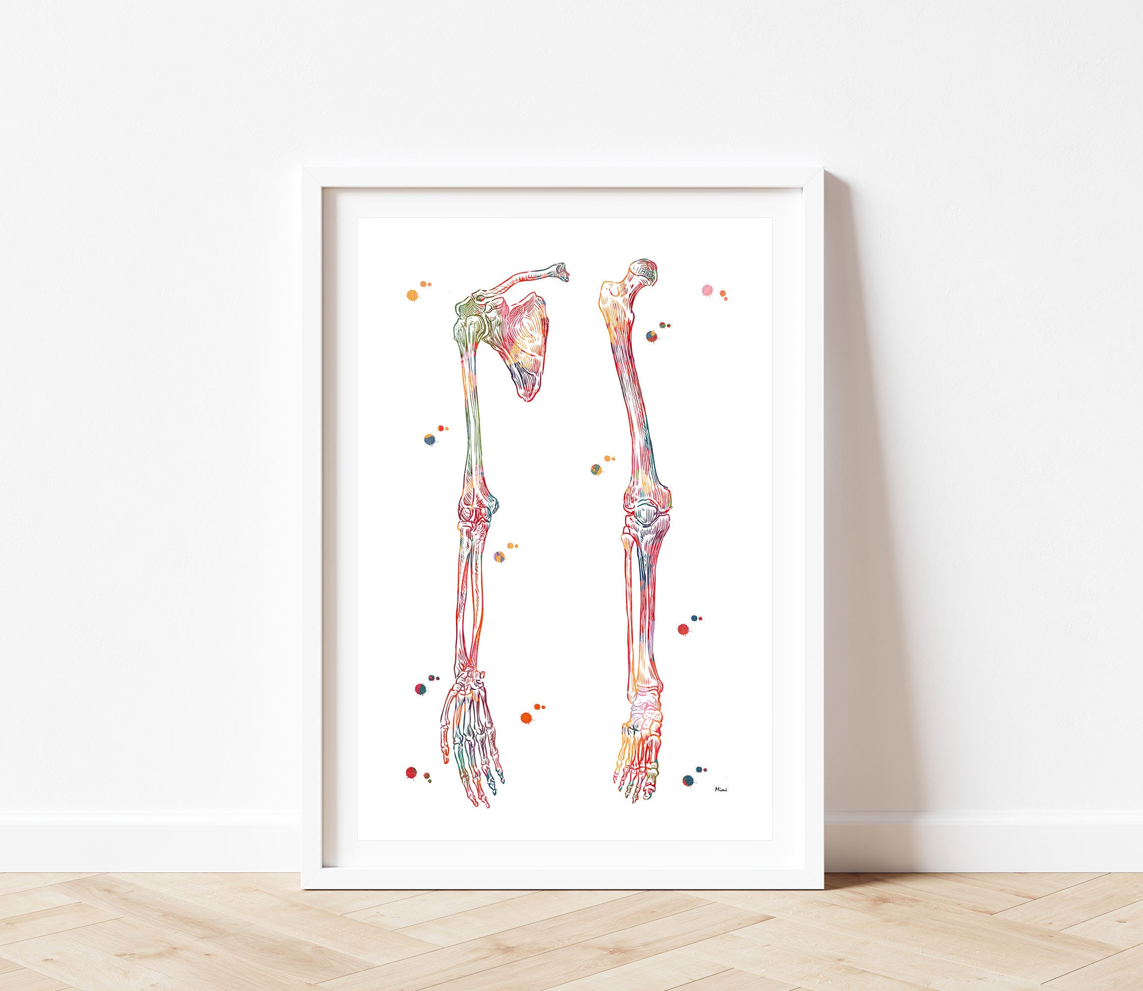 Upper Limbs and Leg Watercolor Print Anatomy Art Human Bones | Etsy