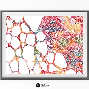 Thyroid Gland Tissue Print Histology Watercolor of the Human Thyroid ...