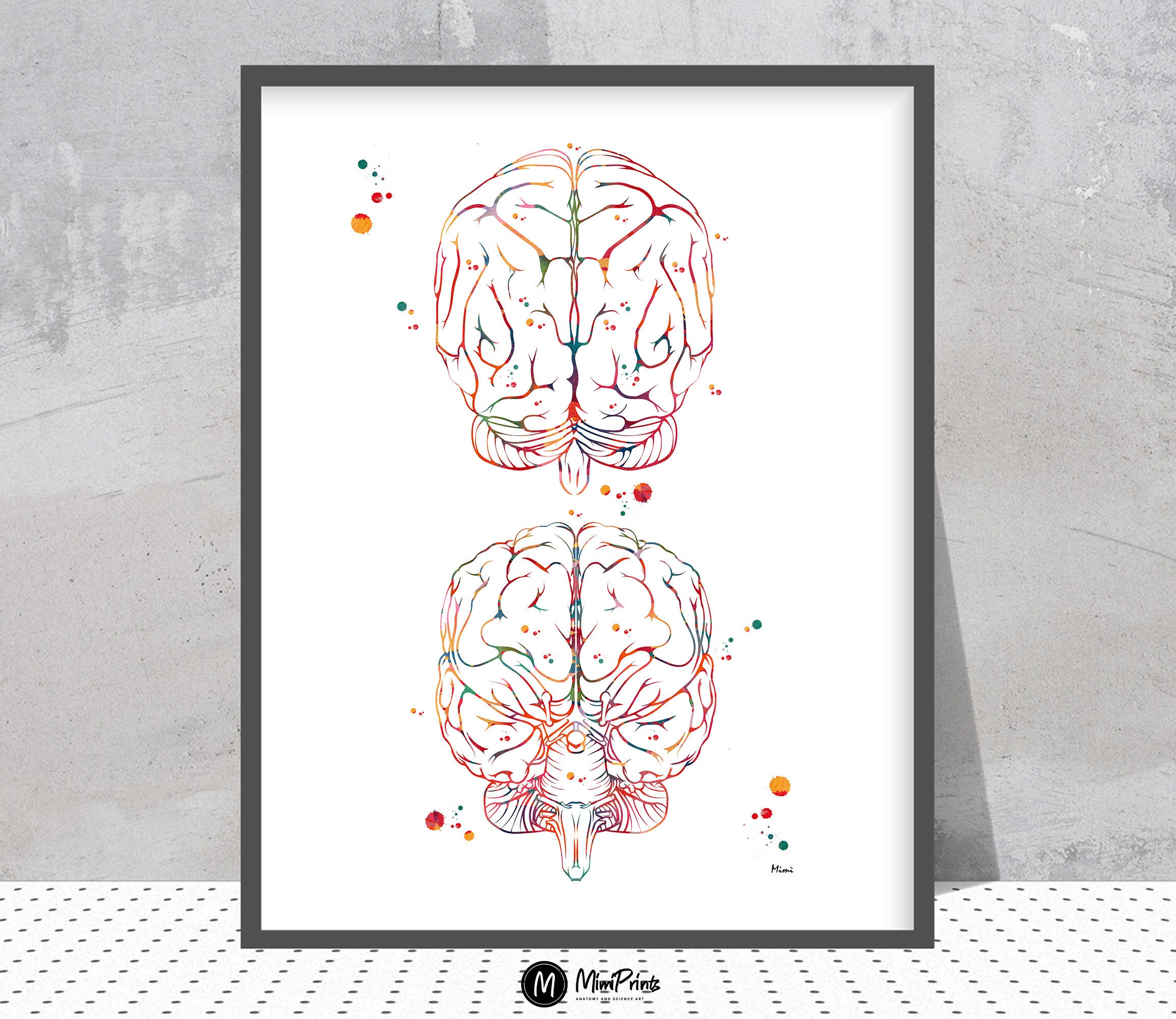Brain Front View Drawing