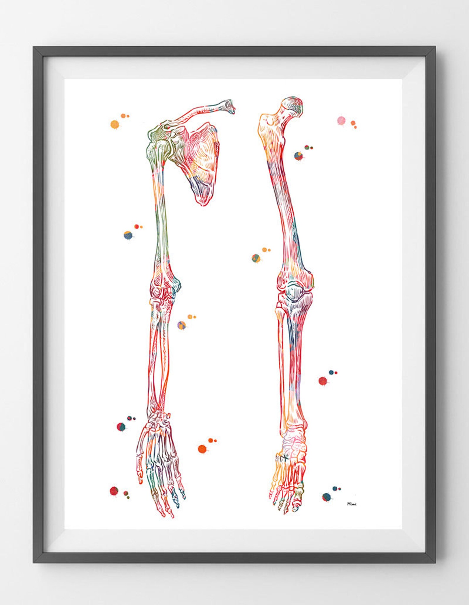 Upper Limbs and Leg Watercolor Print Anatomy Art Human Bones | Etsy