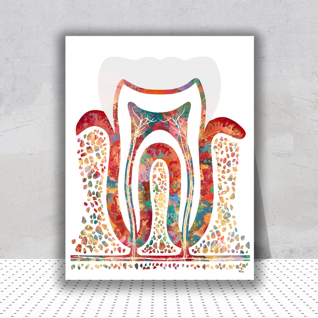 Molar Tooth Anatomy Print Dentistry Watercolor Orthodontic Dentistry ...