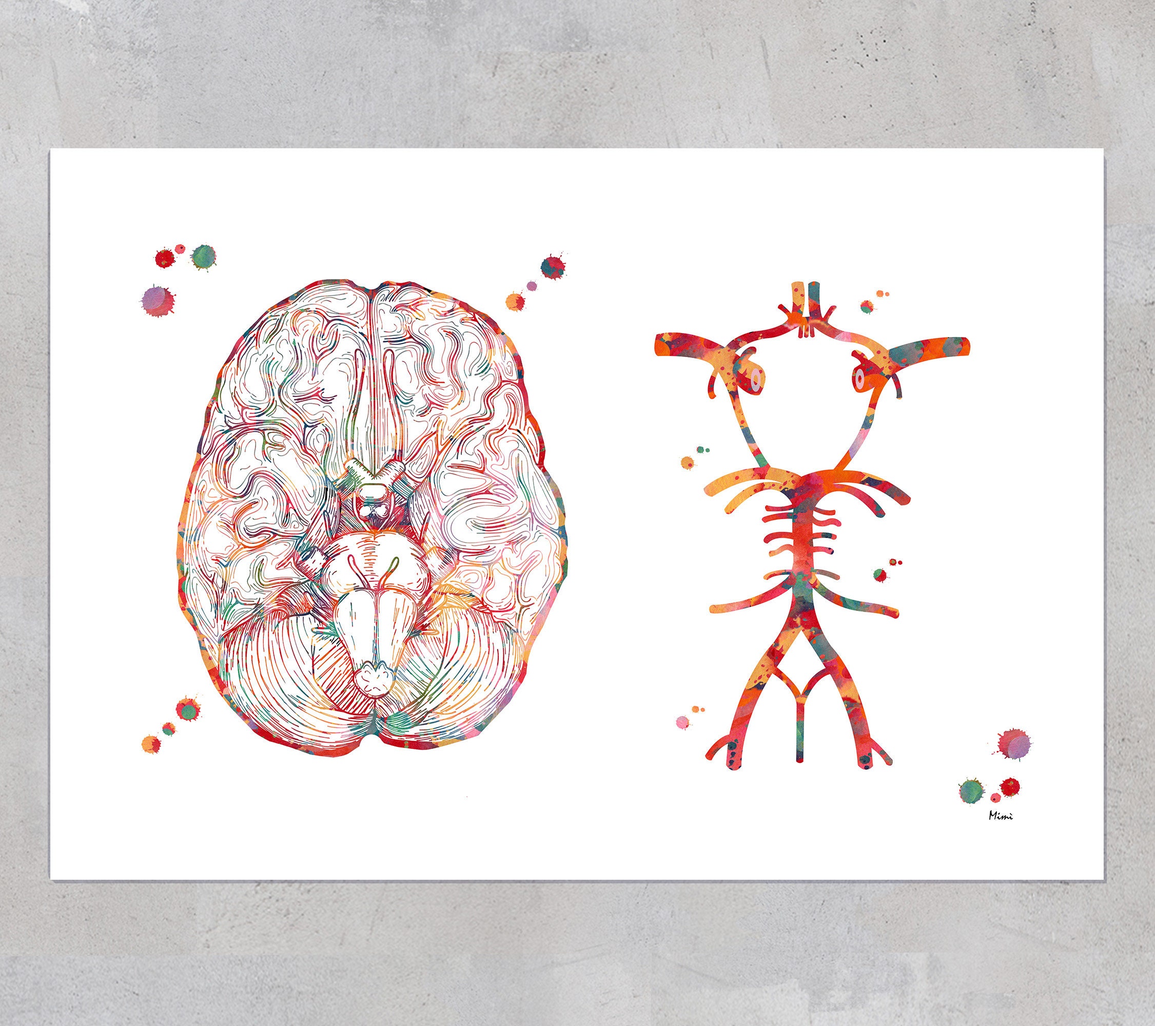 Digital Art & Collectibles Drawing & Illustration Brain Arterial Circle ...