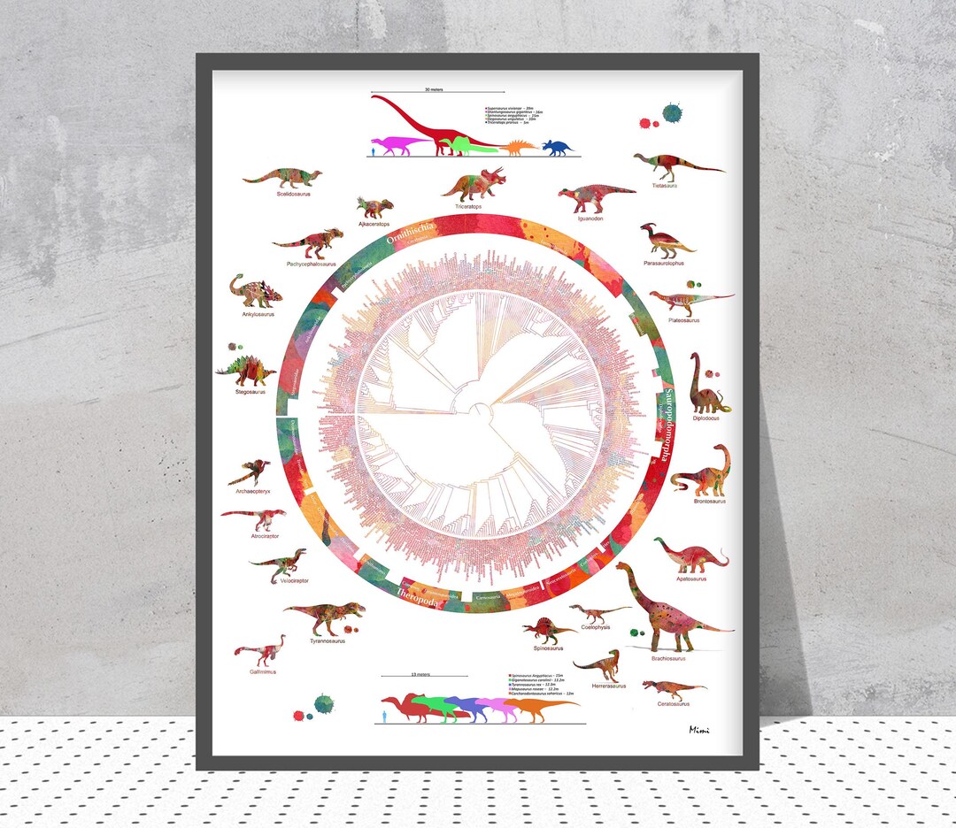 Dinosaurs Phylogenetic Tree Watercolor Print Circular Phylogenetic ...