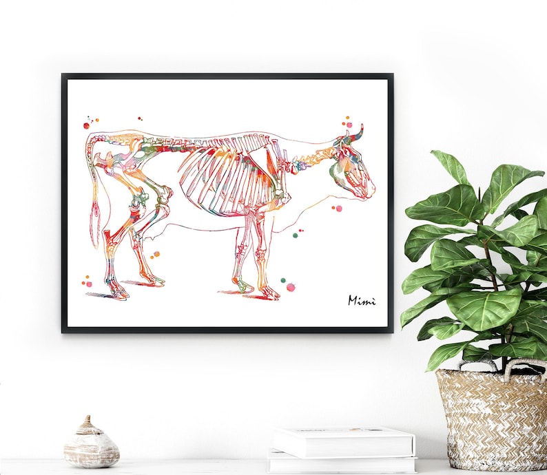 Cow Skeletal System Print | Veterinary Art | Vet Clinic Decor - Etsy