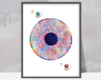 Eye Structure Poster - Etsy