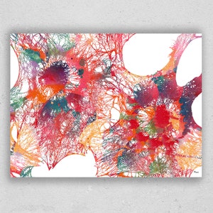 Fibroblast Cells Watercolor Print Fibroblasts Dividing Poster Human ...