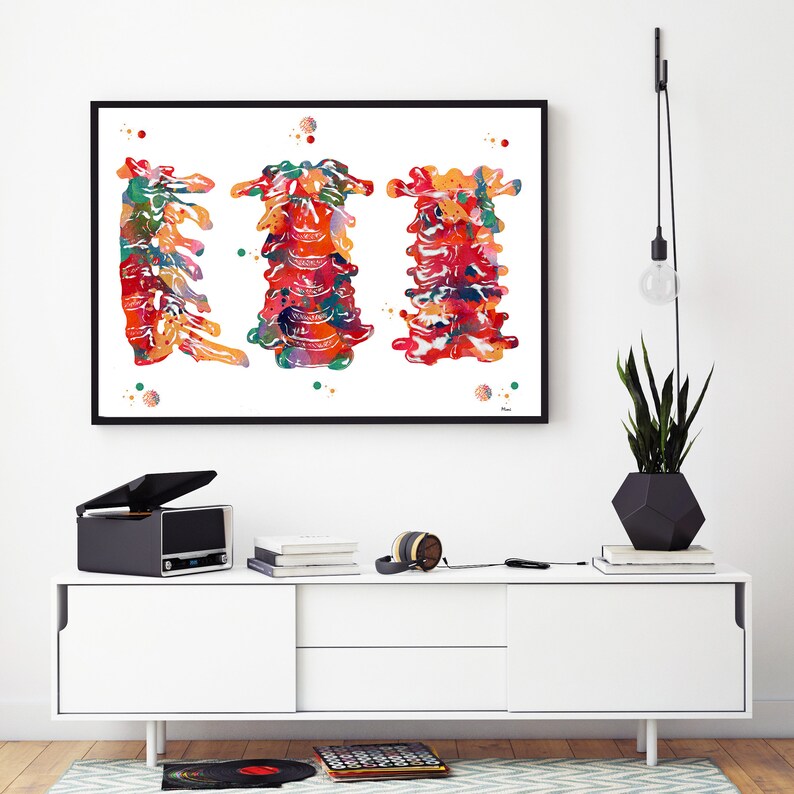 Cervical Spine Watercolor Print, Anatomy Art, Vertebral Column Decor - Etsy