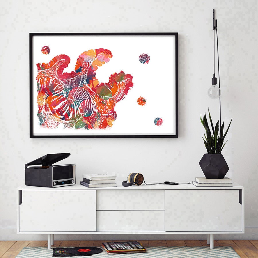 Colon Histology Watercolor Print Colon Mucosa Poster Microscopy View ...