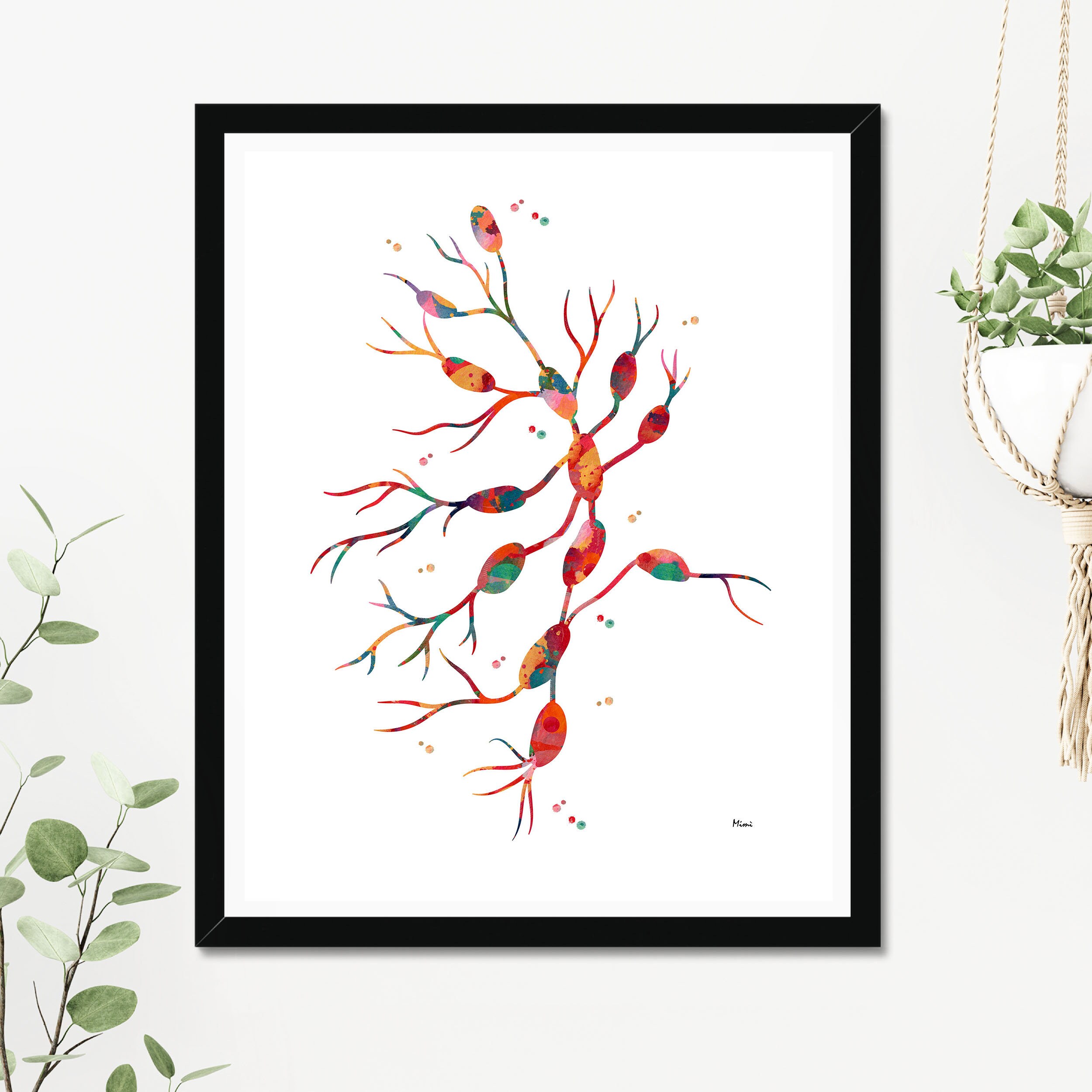 Lymph Nodes Anatomy Watercolor Print Lymphatic System Print - Etsy