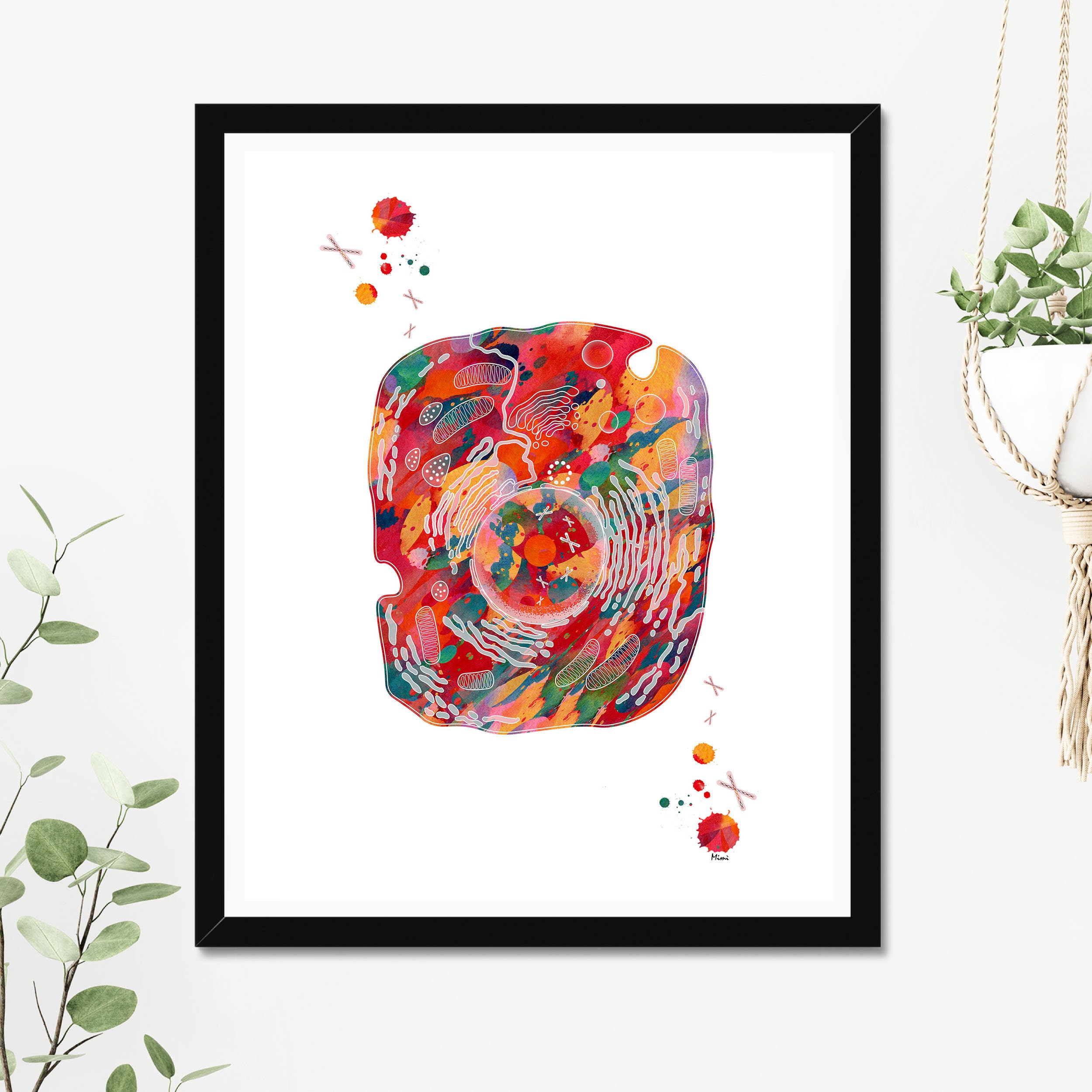 Eukaryotic Cell Science Art Print Human Cell Structure - Etsy
