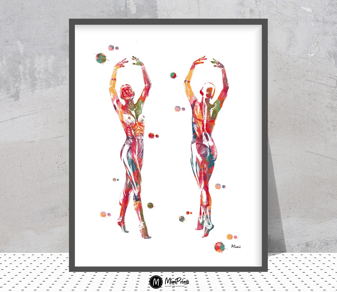 Dance Anatomy Watercolor Print N.1 Dance Poses Poster Female Dancer ...