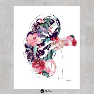 Kidney Anatomy Print in Floral Style Medical Art Nephrology Watercolor ...