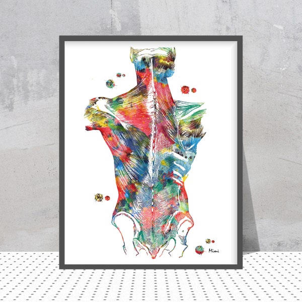 Colorful Anatomy Art - Etsy