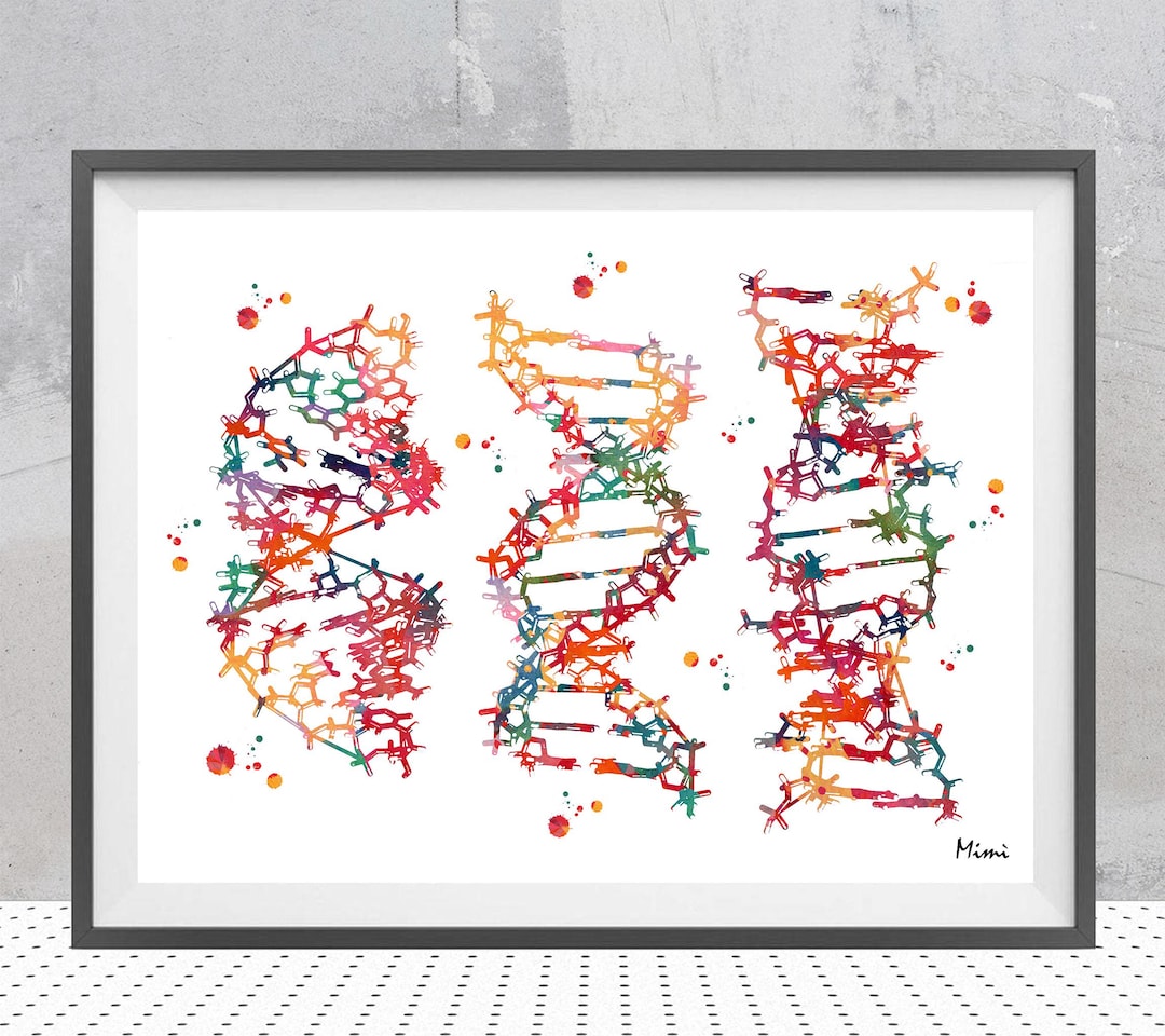 DNA Structure Art Print - A, B, Z Form Genetics Watercolor - Science ...