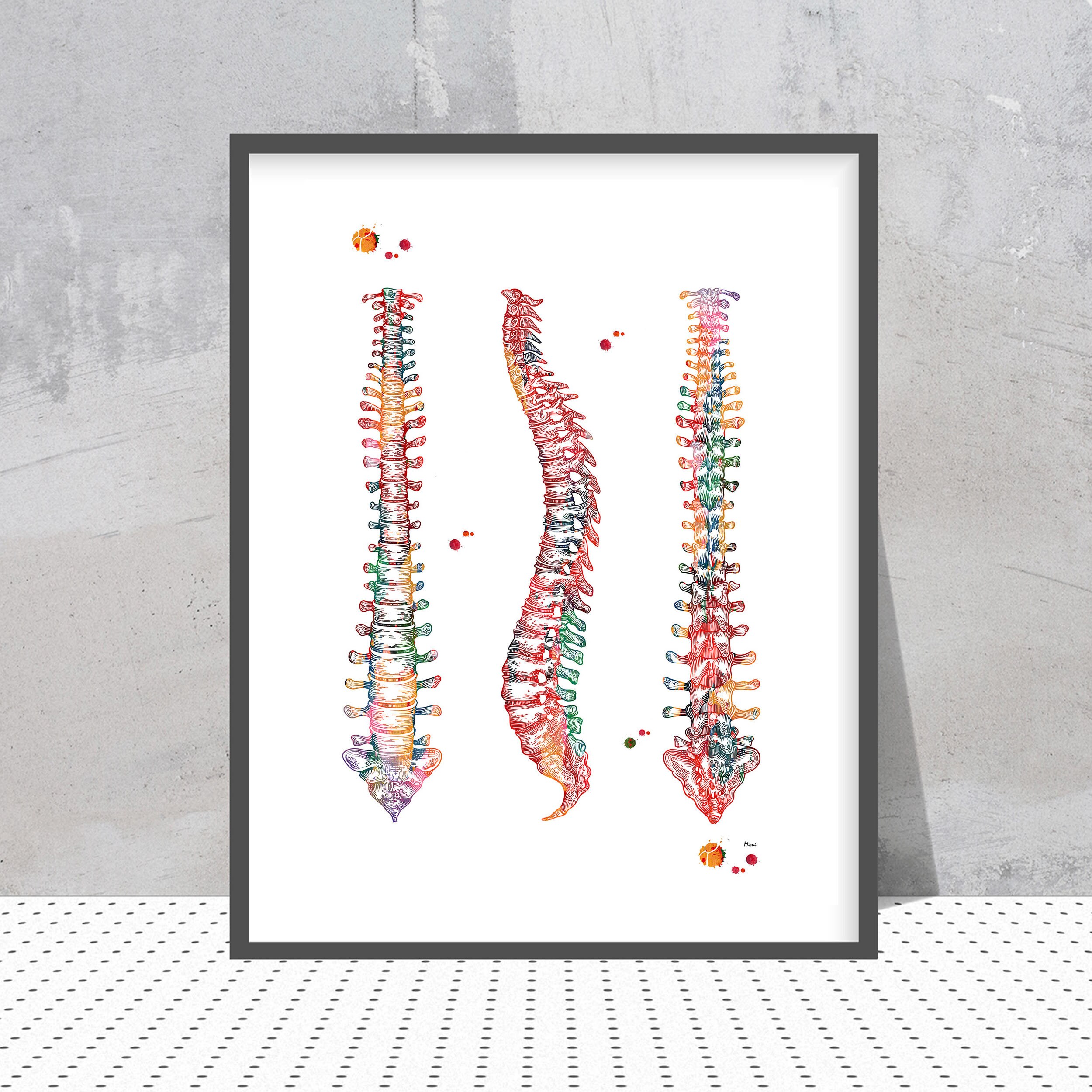 Watercolor Painting spine print anatomy art skeletal Vertebrae ...