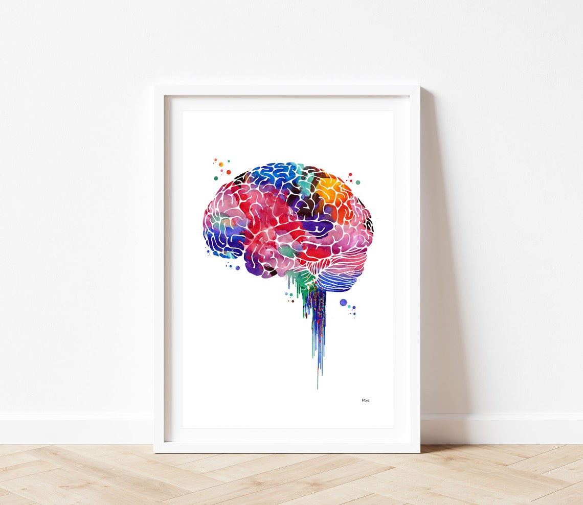 Brain Watercolor Print Anatomy Art Brain Lateral View Poster - Etsy