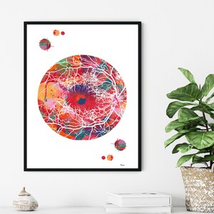 Retina Art Print Eye Anatomy Poster Optometry Illustration Optic Disc ...