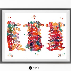 Cervical Spine Watercolor Print Anatomy Art Cervical Vertebrae Anatomy ...