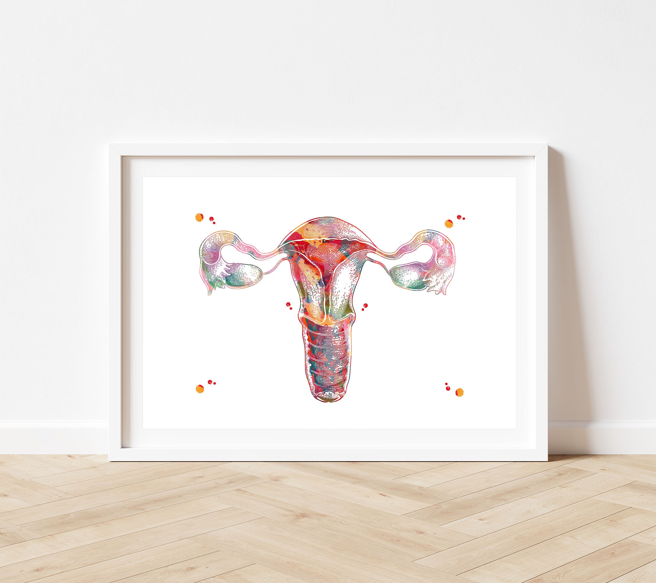 Female Reproductive System Watercolor Print Uterus Anatomy Art - Etsy