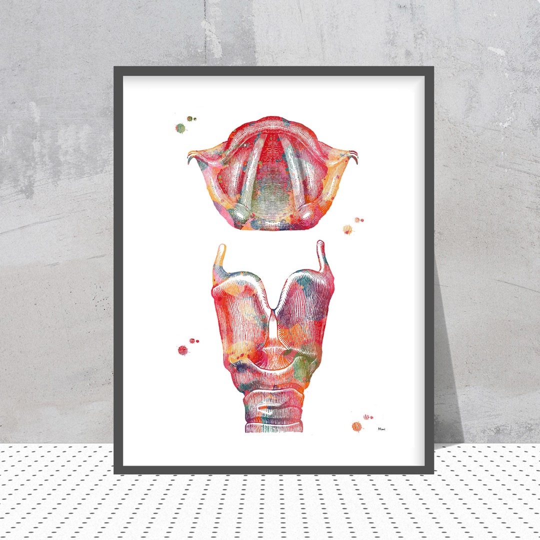 Larynx Print | ENT Speech Therapy Art, Anatomy Watercolor, Larynx and ...