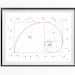 Fibonacci Sequence Watercolor Print Science Art Illustration Fibonacci ...