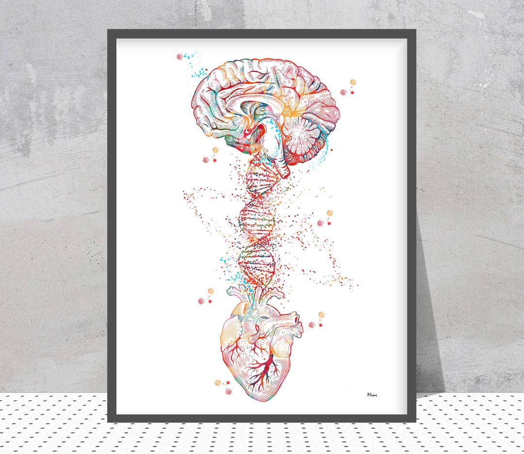 Brain Heart Print Abstract Science Art DNA Brain Heart Watercolor Print ...