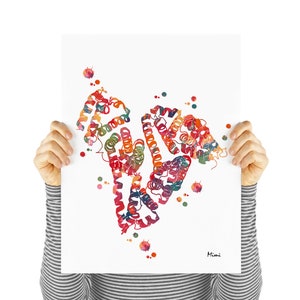 Albumin Protein Science Print Albumin Molecule Watercolor Print Albumin ...
