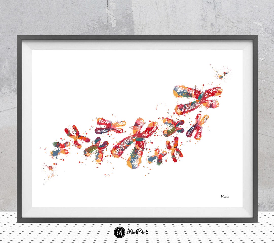 Chromosomes Print Abstract Science Art Genetics Print Dna Watercolor ...
