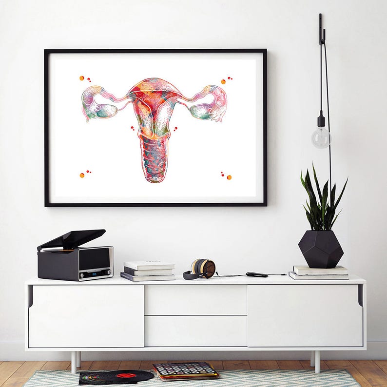 Female Reproductive System Watercolor Print Uterus Anatomy Art Etsy