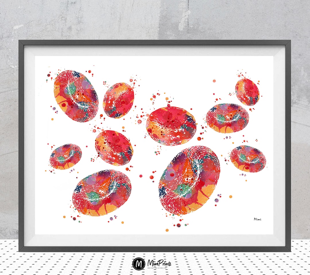 Red Blood Cells Watercolor Print Hematology Science Print Blood Cells Biology Painting Print ...
