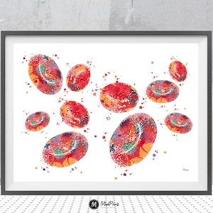 Red Blood Cells Watercolor Print Hematology Science Print Blood Cells ...