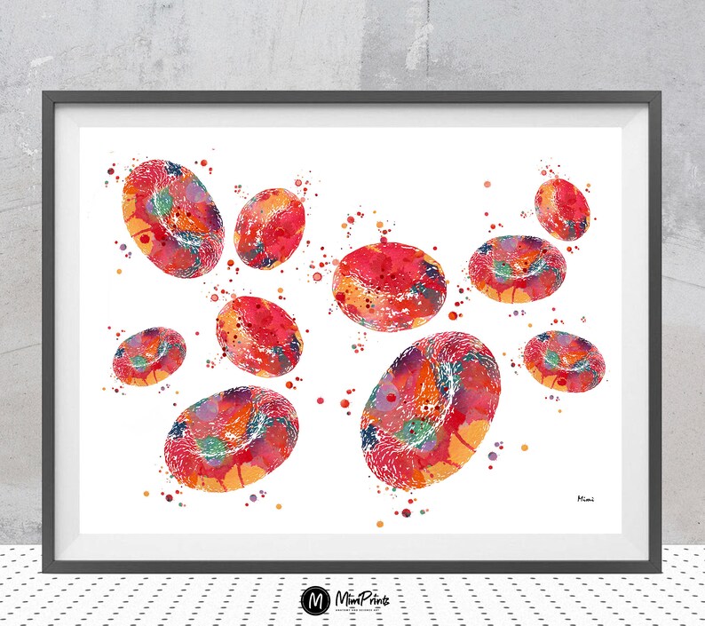 Red Blood Cells Watercolor Print Hematology Science Print - Etsy