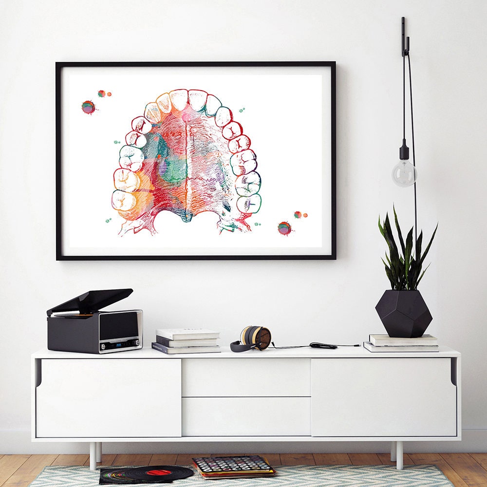 Mouth Anatomy Hard Palate and Teeth Art Print Medical Art - Etsy