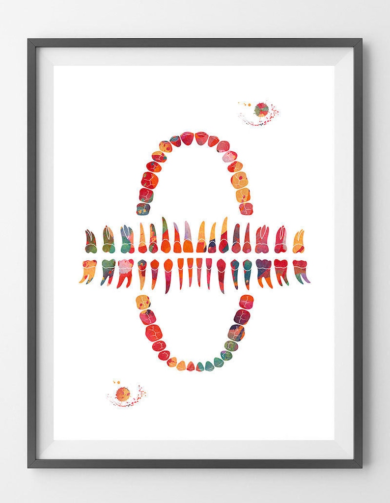 Teeth Row Diagram: Maxillary and Mandibular Teeth Illustration, Dental ...