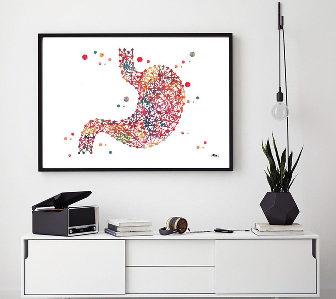 The Stomach Watercolor Print the Human Stomach Poster Medical - Etsy
