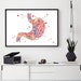 The Stomach Watercolor Print the Human Stomach Poster Medical Art ...