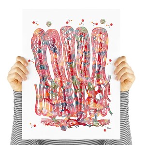 Intestine Watercolor Print Intestinal Villi Anatomy Art Poster ...