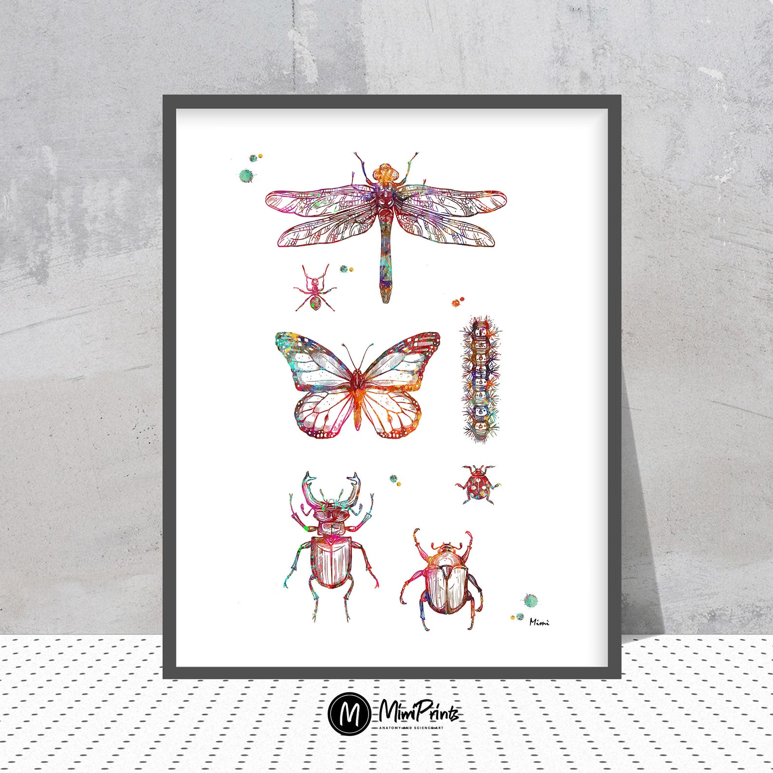 Insects Collection Watercolor Print Insects Poster Dragonfly - Etsy