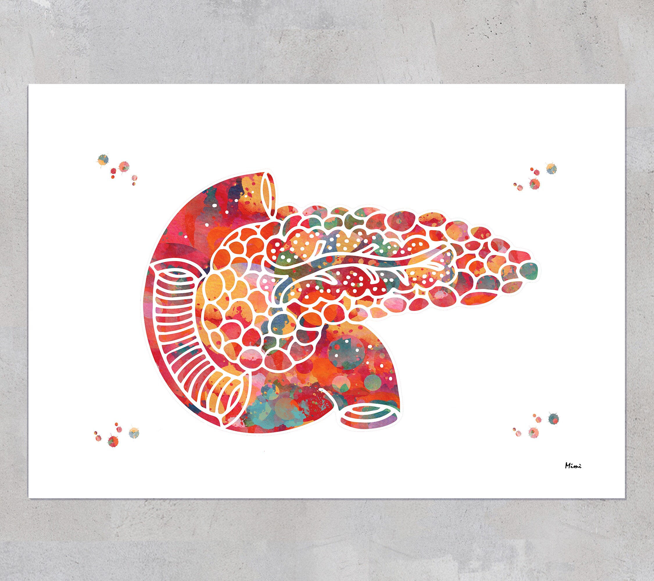 Pancreas Watercolor Print Human Anatomy Internal Organs - Etsy
