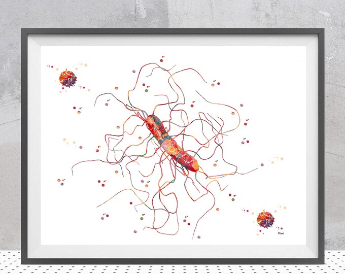 Staphylococcus Aureus Science Art Bacteria Print Biology Art ...