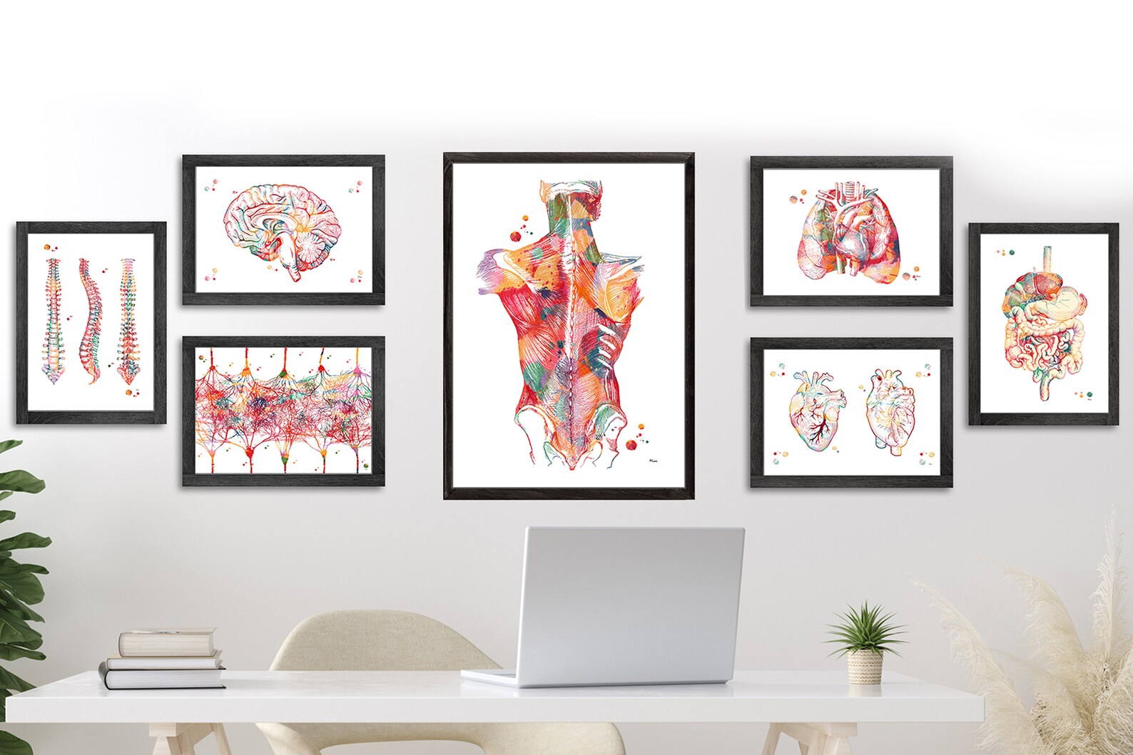 Back Muscles Anatomy Art Print, Watercolor Human Body Poster - Etsy