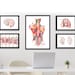 Muscles of Back Anatomy Print Muscles of the Human Trunk Poster ...